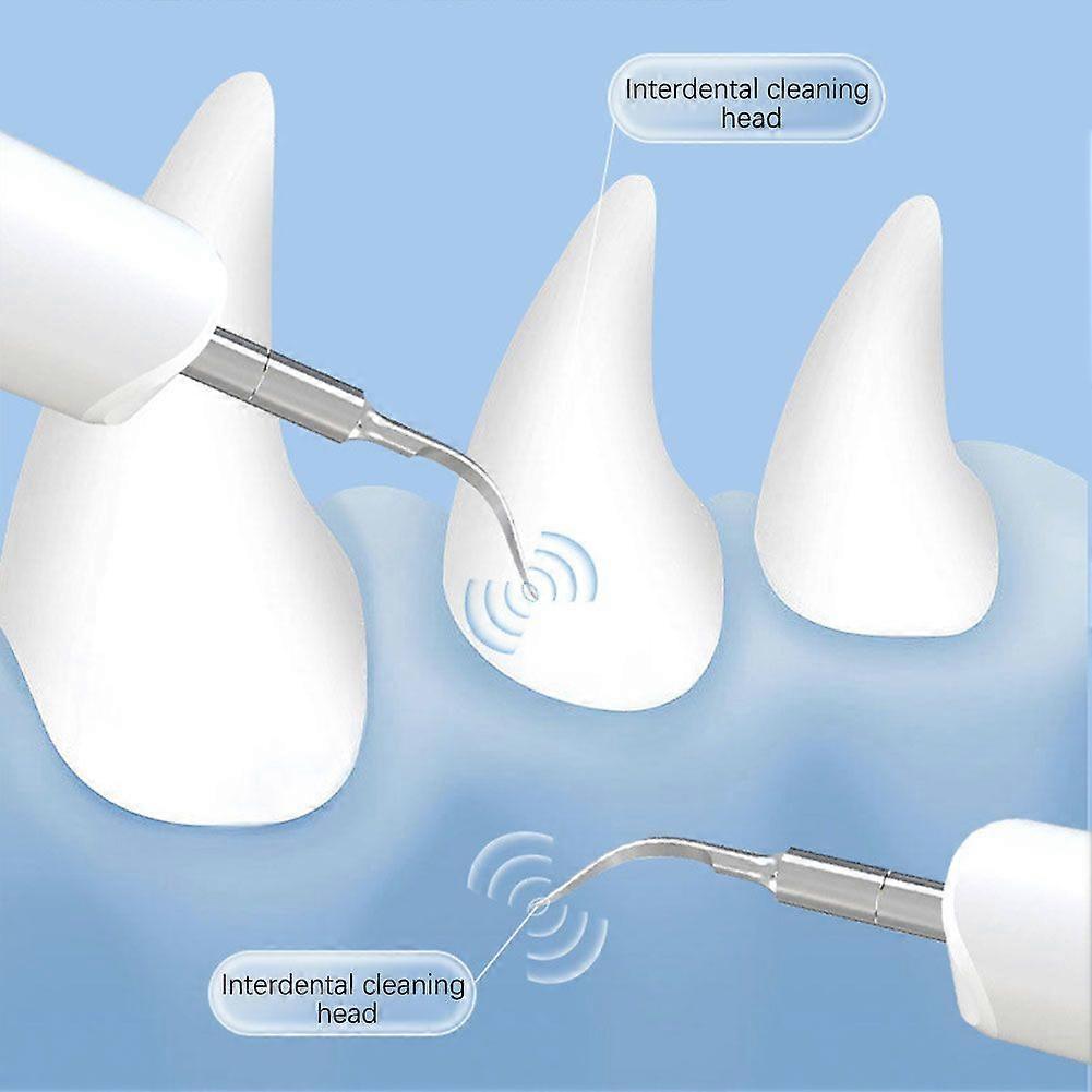 Dog Teeth Cleaning Kit Ultrasonic Dental-Calculus Scalers All Around ...