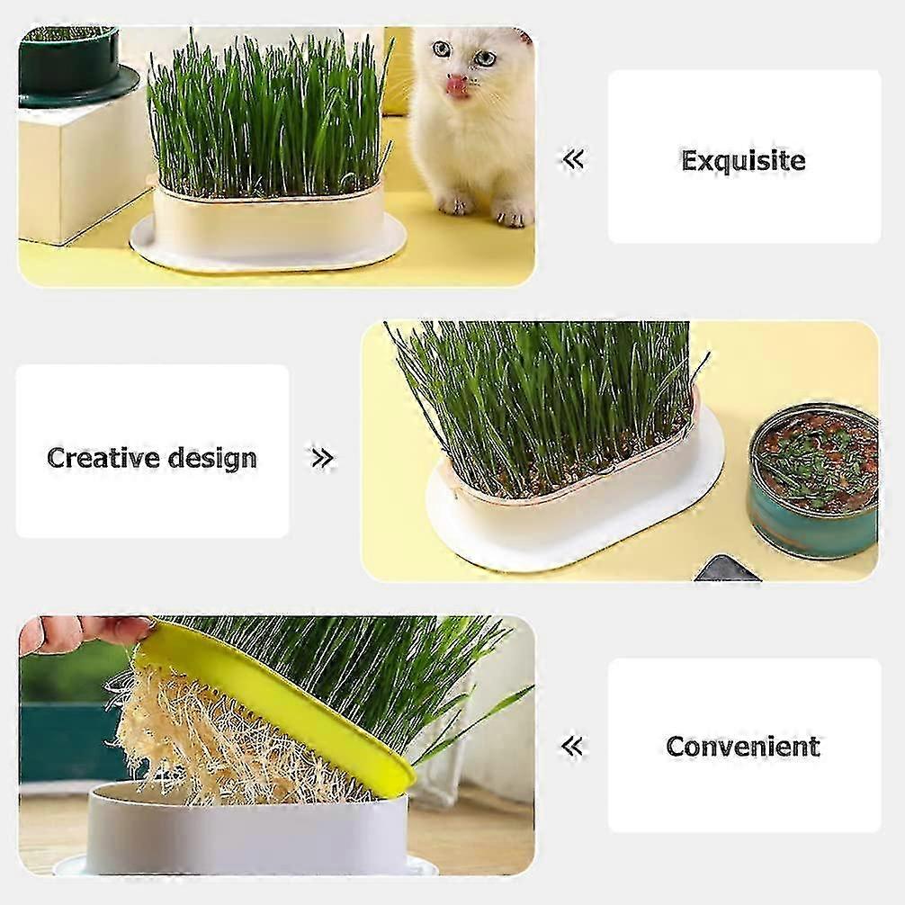 Hydroponic Cat Grass Planter Tray Plastic Catnip Cat Grass Box Soil Free Cat Grass Growing Box ...