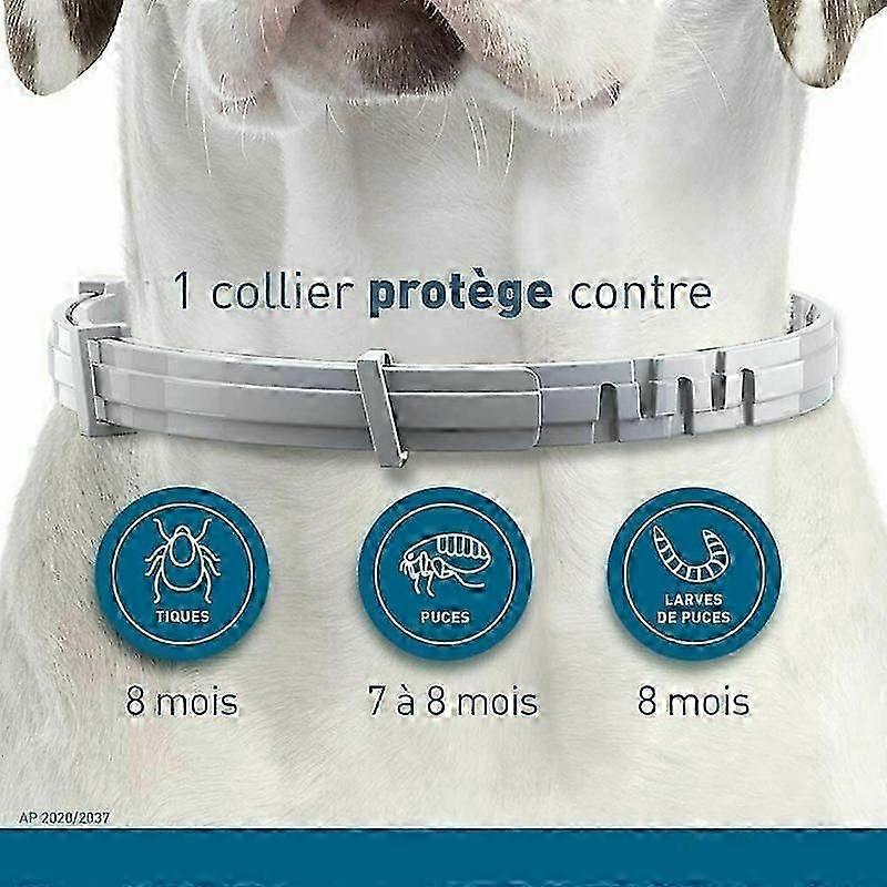 Dog Anti Flea And Tick Collars,Pet 8Month Protection Adjustable Collar ...