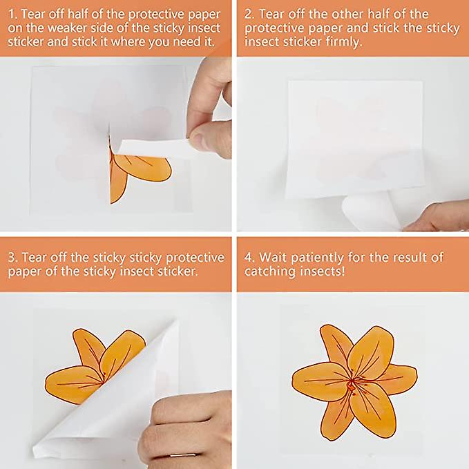 Window Fly Sticker For Indoor Insect Pest, Fly Traps Indoor, New Orange ...