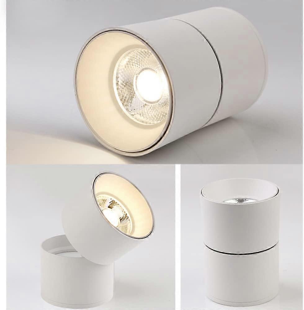 SDUYTDG 7W10W15W 20W Surface Mounted Downlight 360 Rotation Ceiling ...