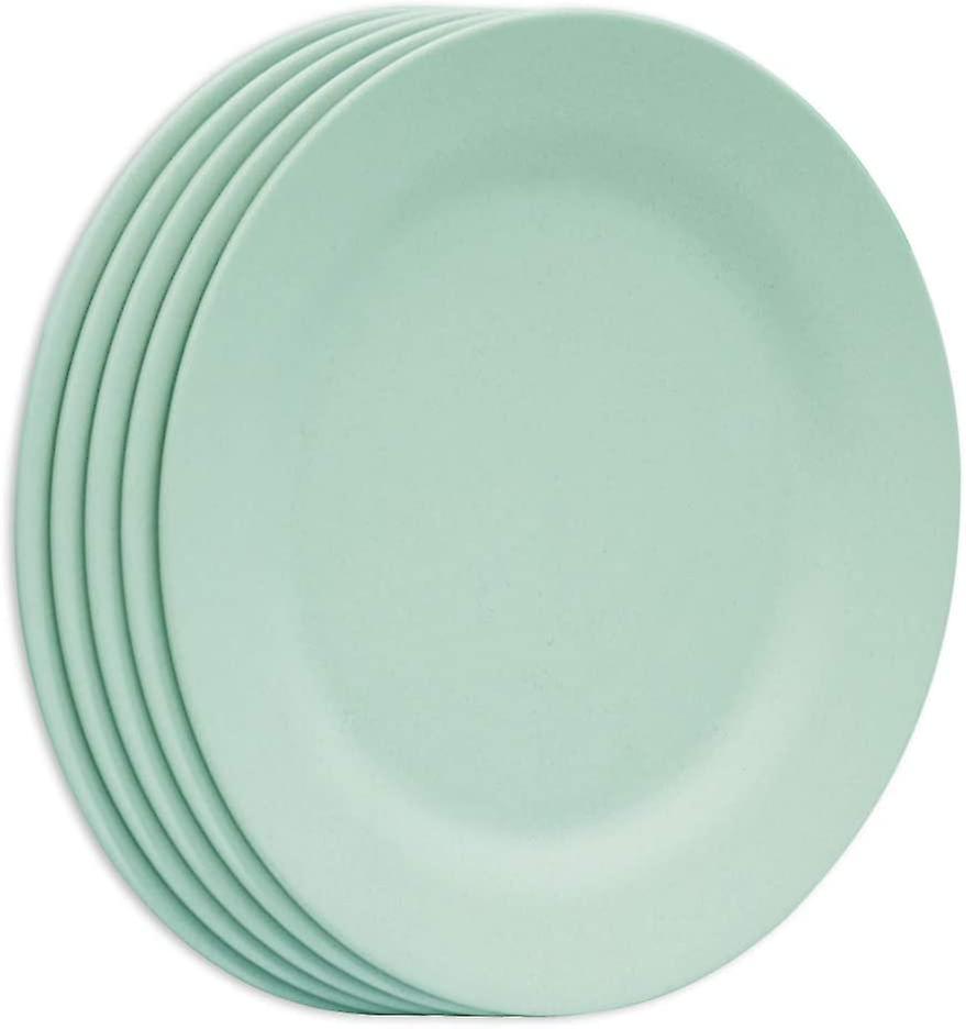5 Pack 11 Inch Dinner Plate Set, Extra Large Pasta Plates, Unbreakable ...
