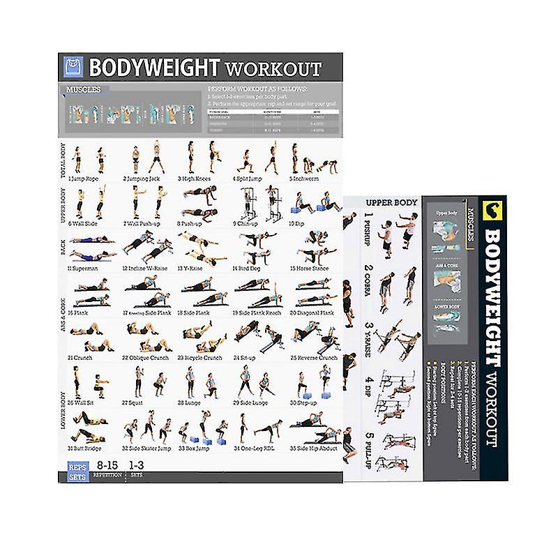 Bodyweight Exercise Poster Set Laminated 2 Chart Set Men and Women Body ...