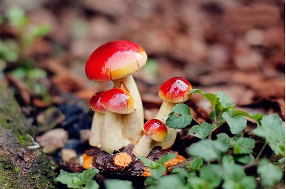 2 pakker Fairy Champignon Figurer Miniature Svampe Fairy Have Svampe ...