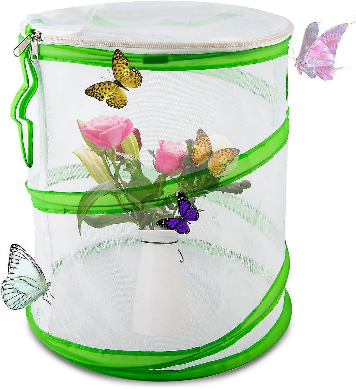 Habitat of insects and butterflies breeding Foldable Cage Insect Mesh ...