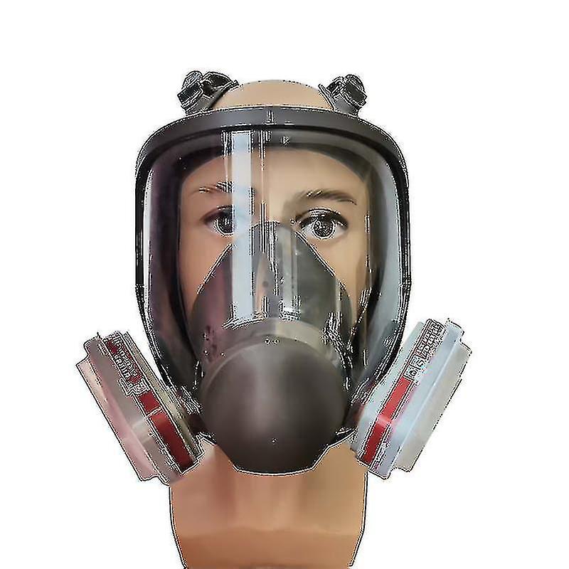 6800 Gas Mask Fire Spray Chemical Anti-formaldehyde Full Face Mask ...