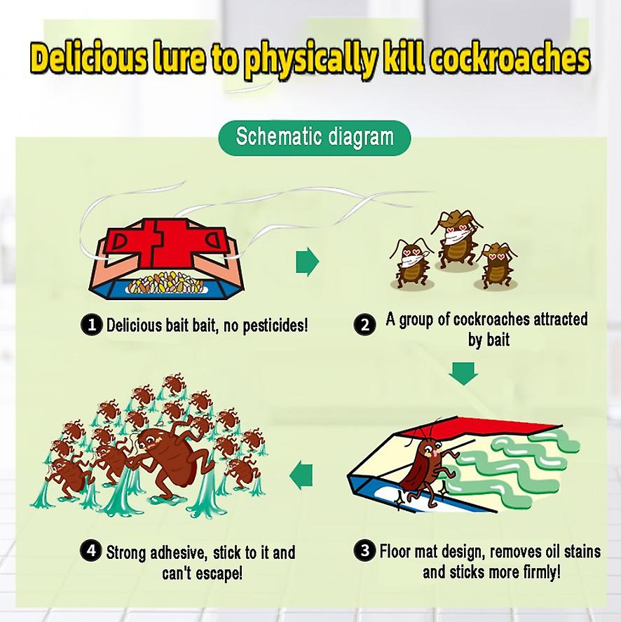 Magic Weapon Japanese Cockroach House, A Whole Nest Of Cockroaches For ...