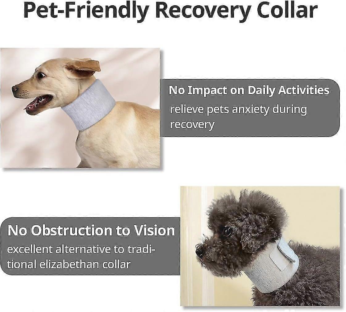 Dog Neck Brace Collar, Breathable And Adjustable Dog Collar For Pet ...