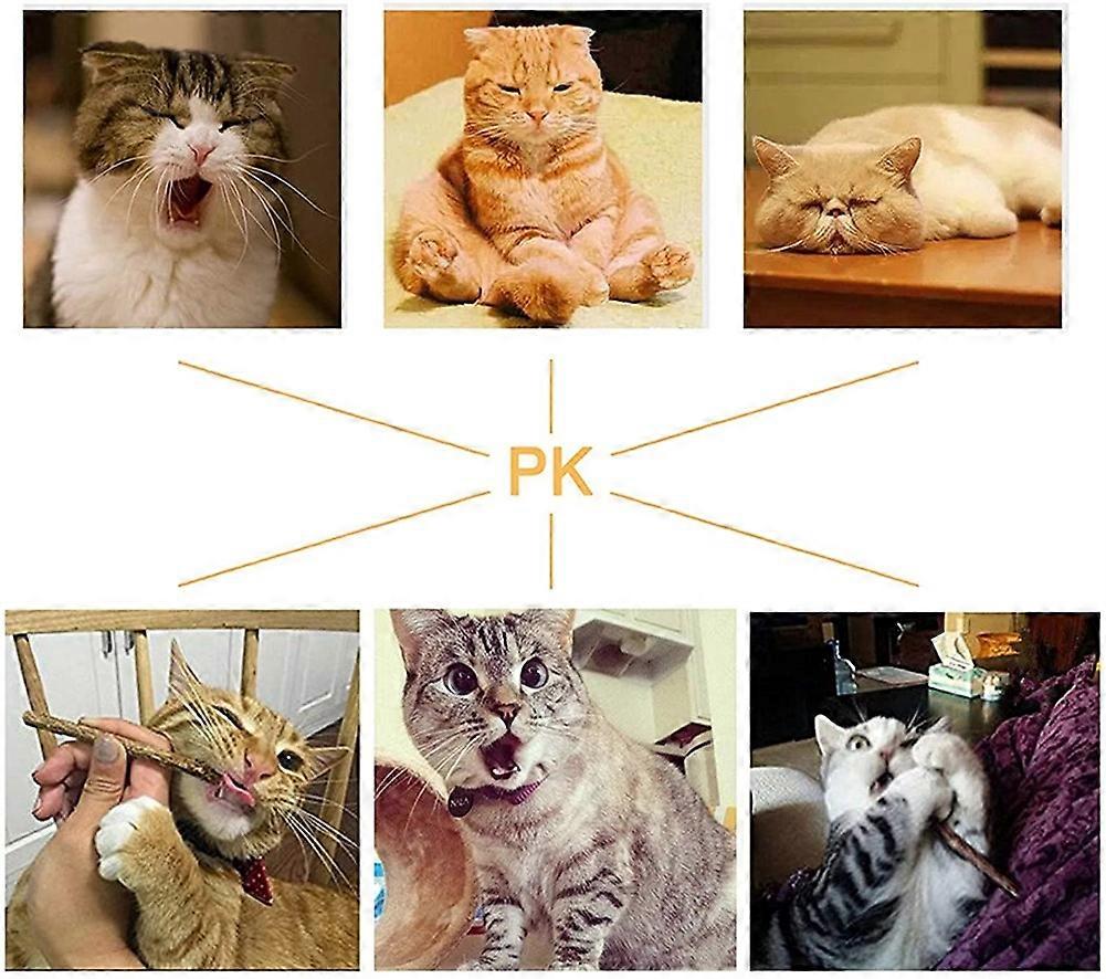 Natural Cat Mint Sticks Cat Catnip chips Toys Pet Molar Sticks Kittens ...