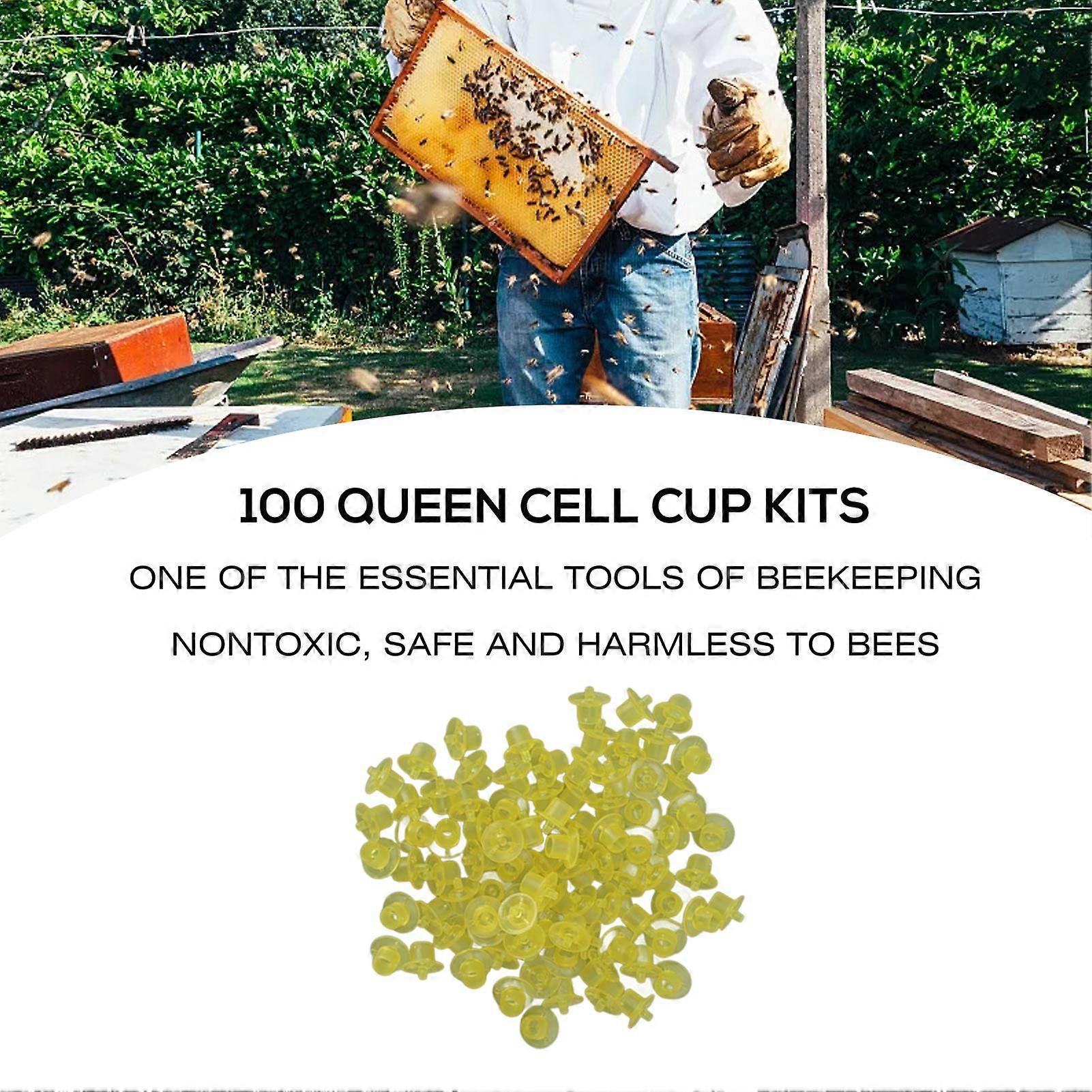 100pcs Queen Bee Rearing Cup Plastic Vivid Color Beekeeping Bee Cell ...