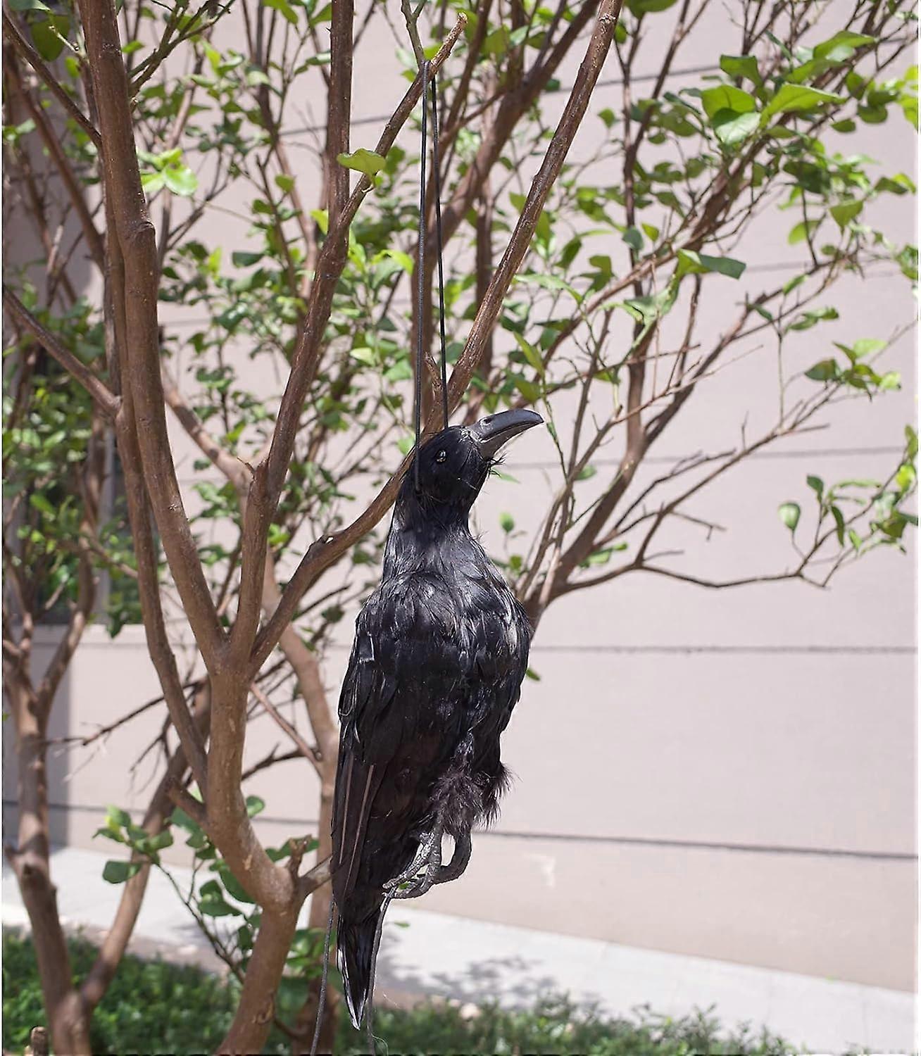 17" Realistic Hanging Dead Crow Bait Life Size Oversized Black Feather ...