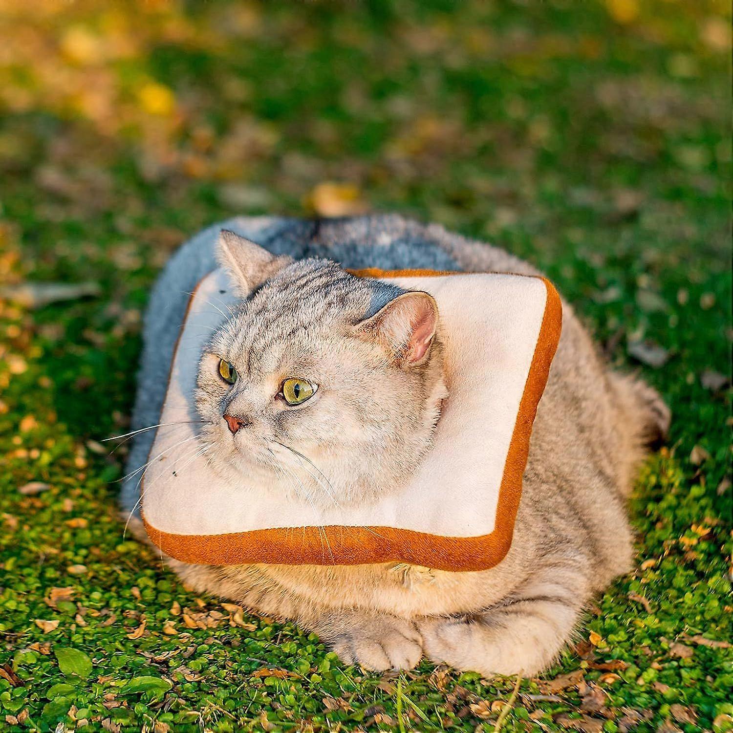 Adjustable Cat Cone Collar Soft, Cat Recovery Collar, Cone for Cat ...