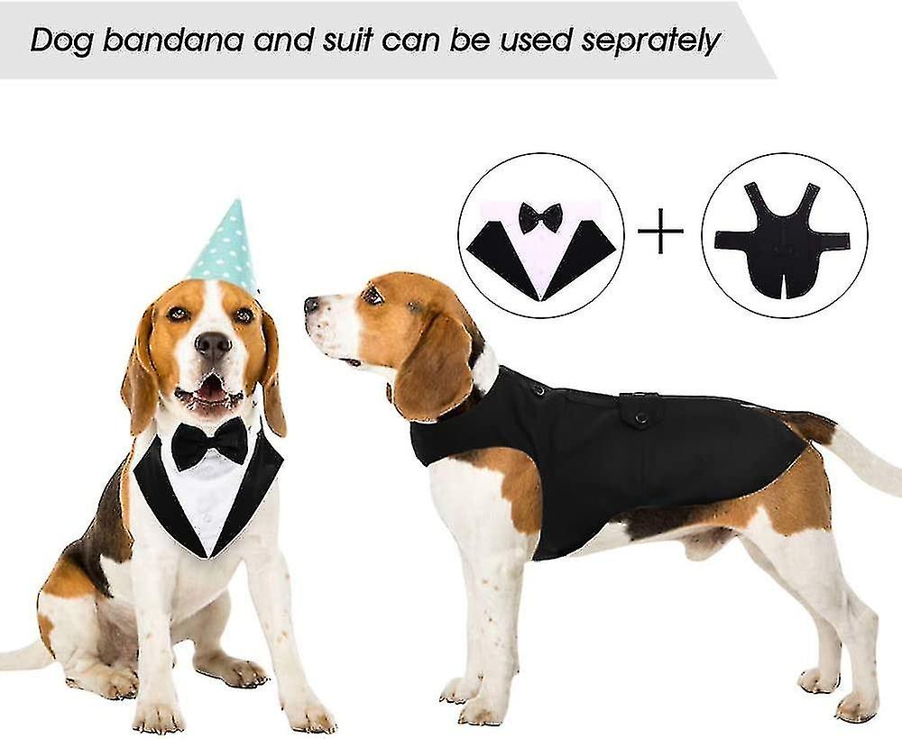 Traje de perro y conjunto de pañuelos, traje de fiesta de boda de ...
