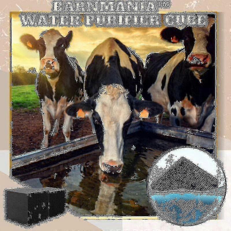 Water Purifier Cubes Activate Carbon High-efficiency Water ...