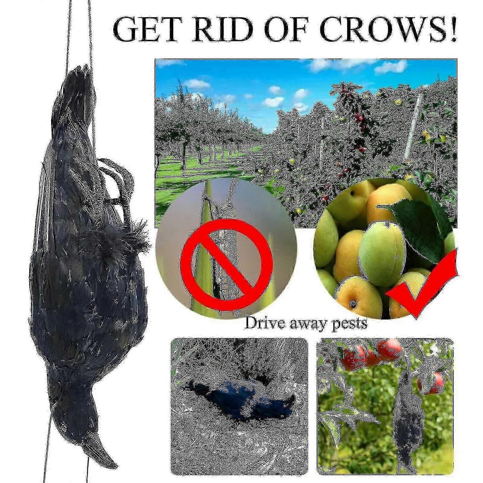 Realistic Hanging Dead Crow Decoy Lifesize Extra Black Feathered Crow ...