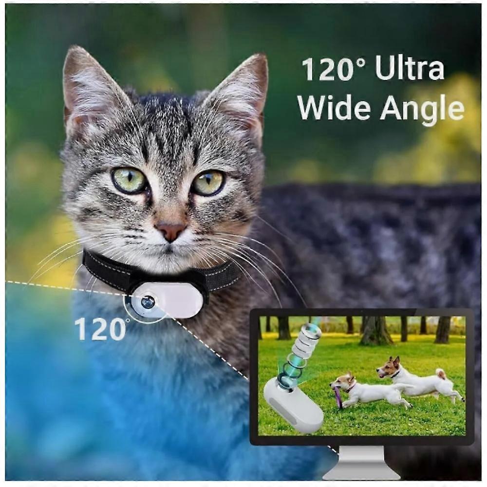 Cat Camera Collar 1080P Pet Cameras Life Waterproof Mini Actions Camera ...