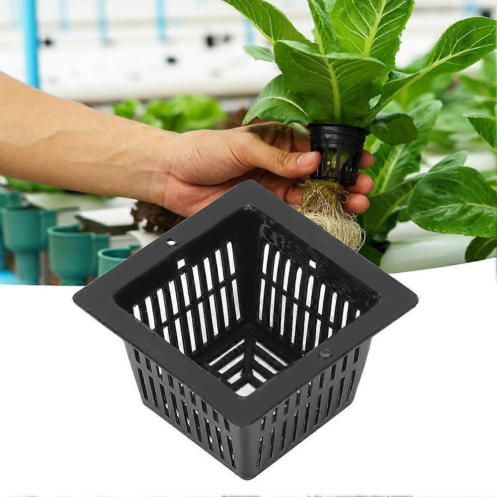 50Pcs Square Hydroponics Net Pot Soilless Cultivation Flower Plant ...
