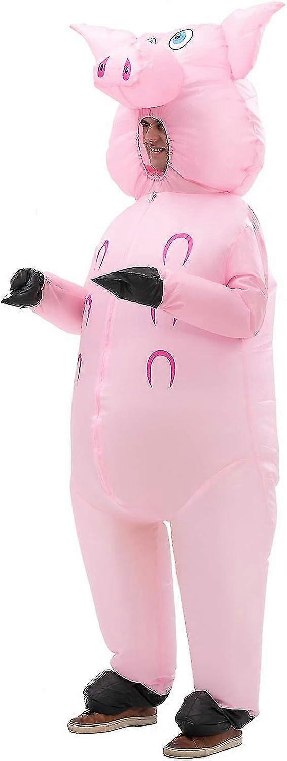 Inflatable Ride-on Rooster Costume Air Blow Up Suit Rooster Costumes ...