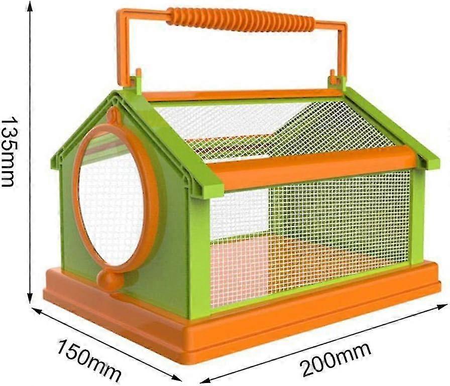 Insect boxes, crawling beetle, observation box, insect house, DIY ...
