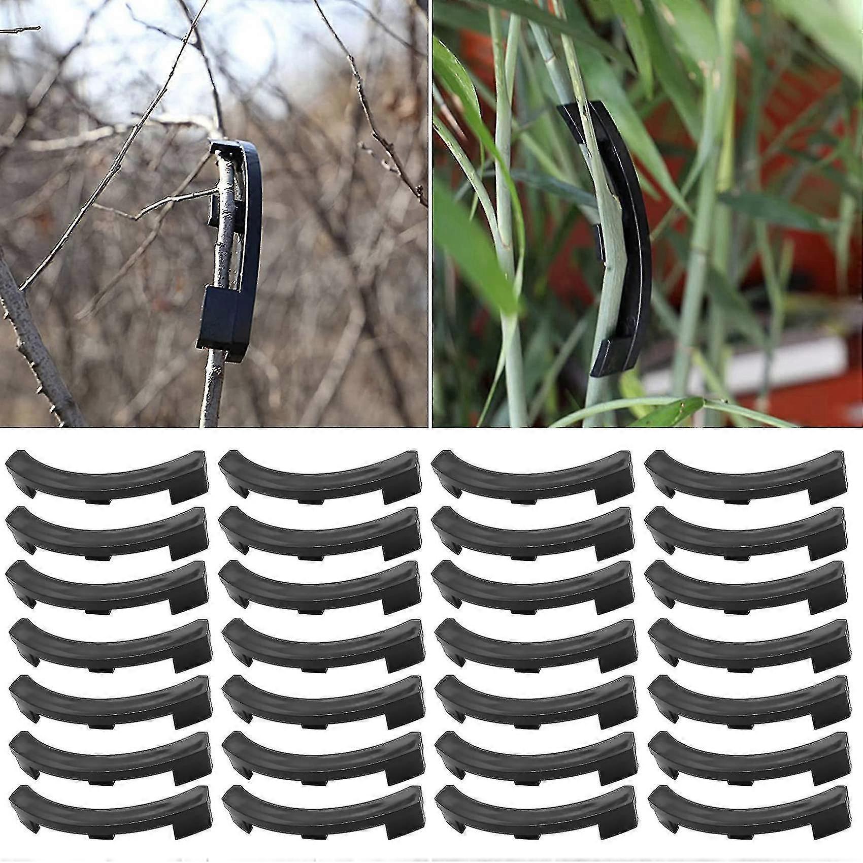 40pcs Fruit Tree Shaper Branch Plant Trainer Bending Clips Bonsai ...