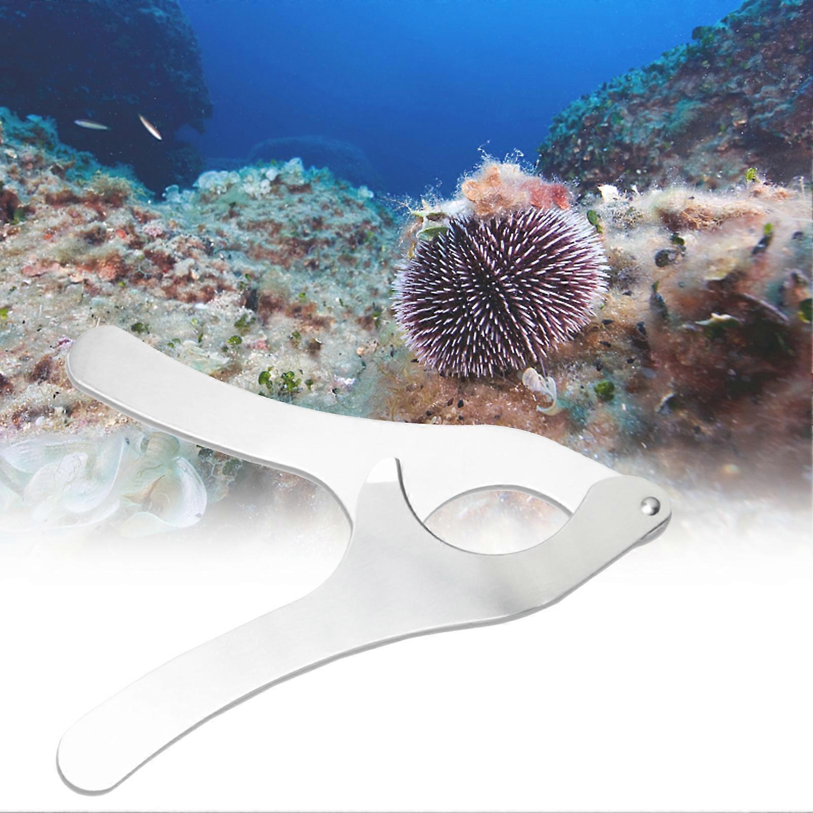Sea Urchin Scissor High Hardness Anti-deform Stainless Steel Effort ...