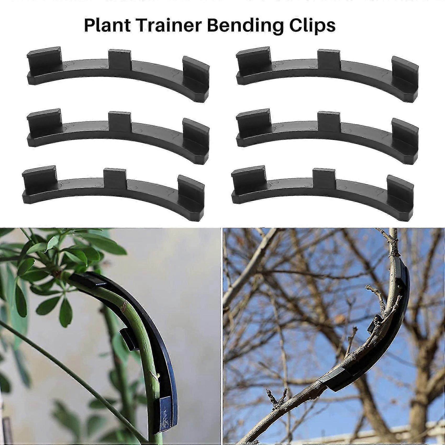 40pcs Fruit Tree Shaper Branch Plant Trainer Bending Clips Bonsai ...