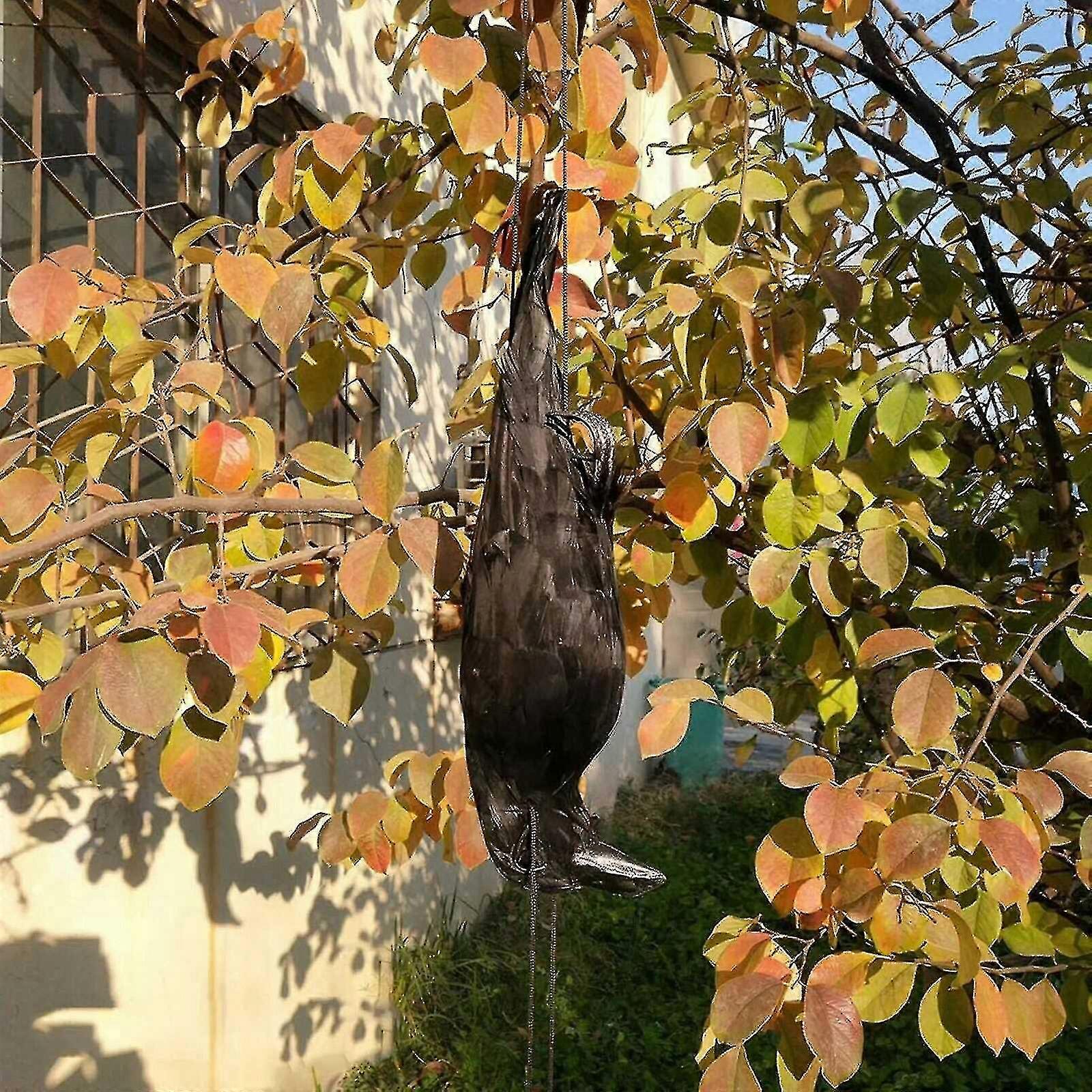 Realistic Hanging Dead Crow Decoy Lifesize Extra Black Feathered Crow ...