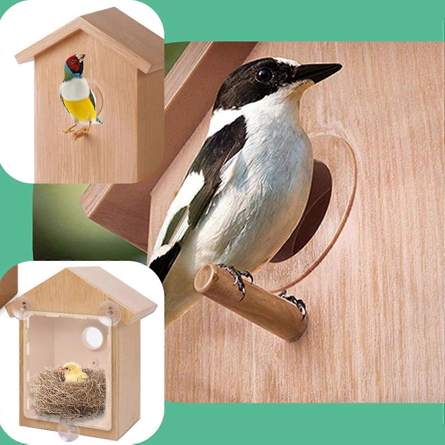 Window Bird Box Plastic With Strong Suction Cup, Natural Wood Colour ...