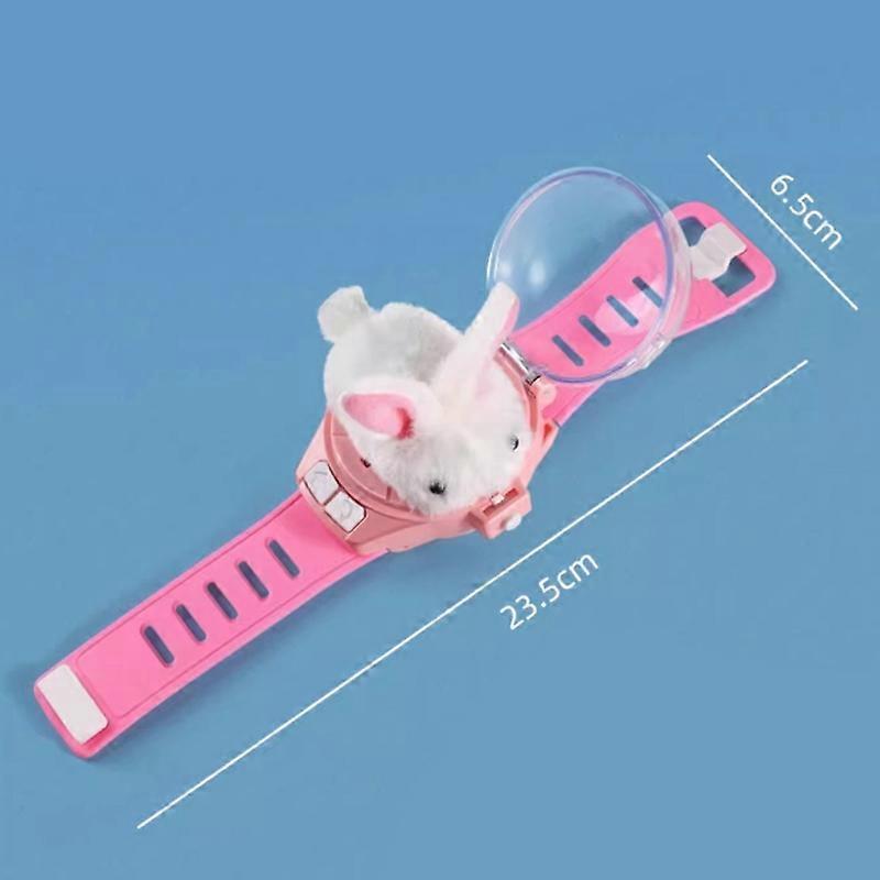 Capybara Rabbit Remote Control Car Watch Toys with Light 2.4G Racing ...