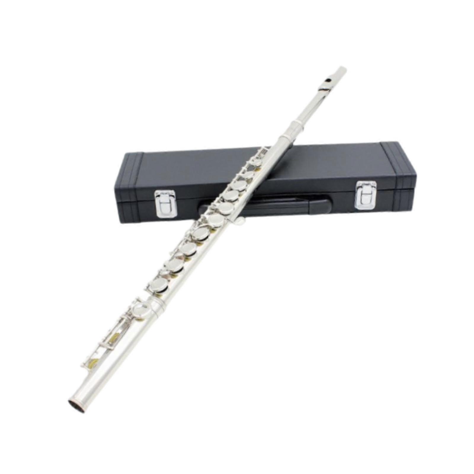 Flute Instrument Lightweight Portable Sturdy Closed Hole Flute for Kids ...