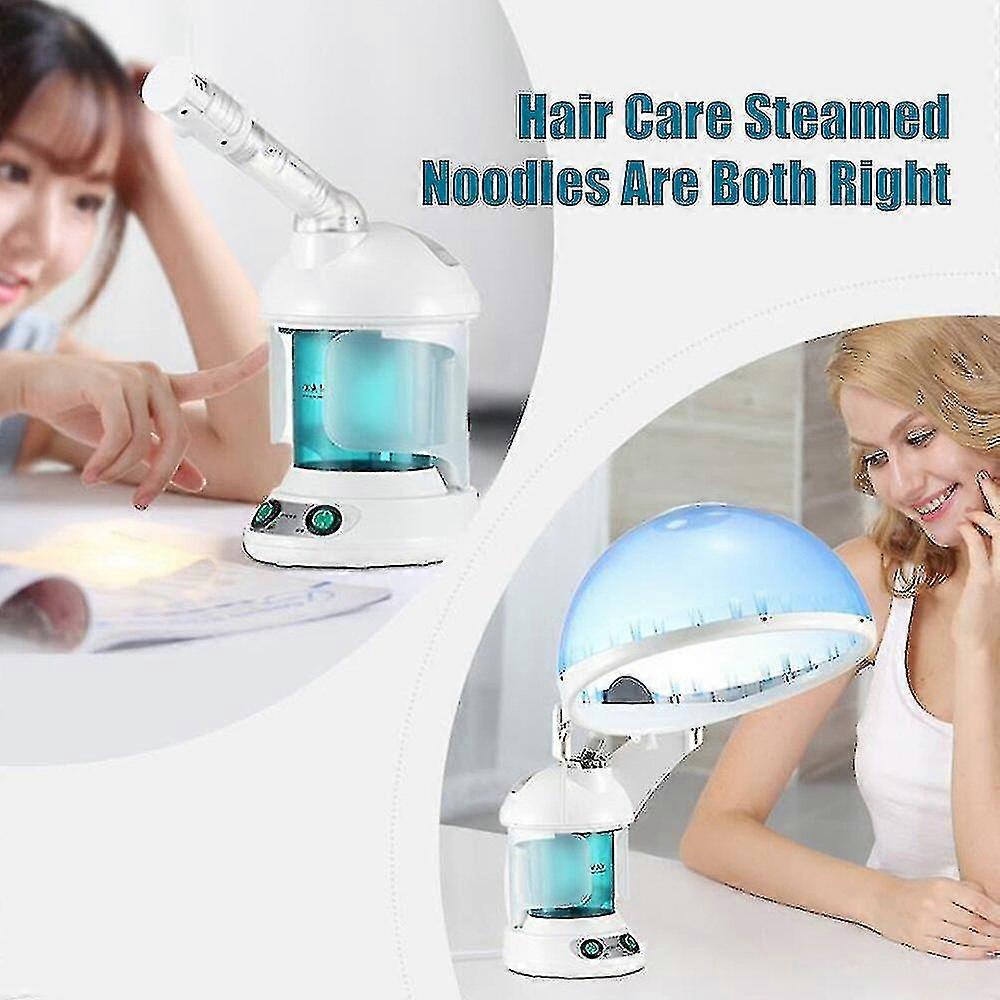 Face & Hair Vaporizer Hair Facial Steamer Heated Humidifier Face ...