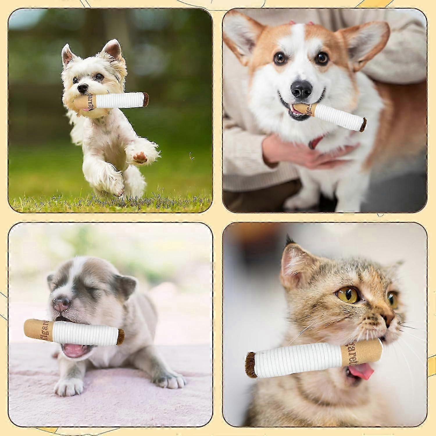 Interactive Giggles Dog Toys Cigarettes Dog Toys Squeaky Cigar Toy ...