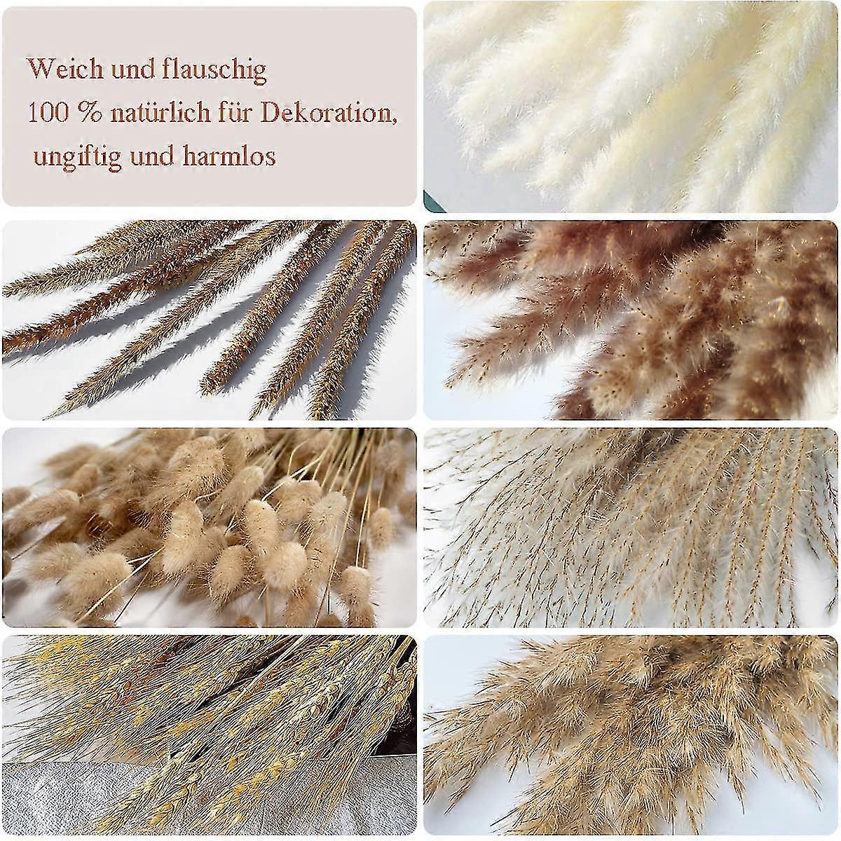 Naturligt torkat pampasgräs, torkade blommor dekoration, fluffiga ...