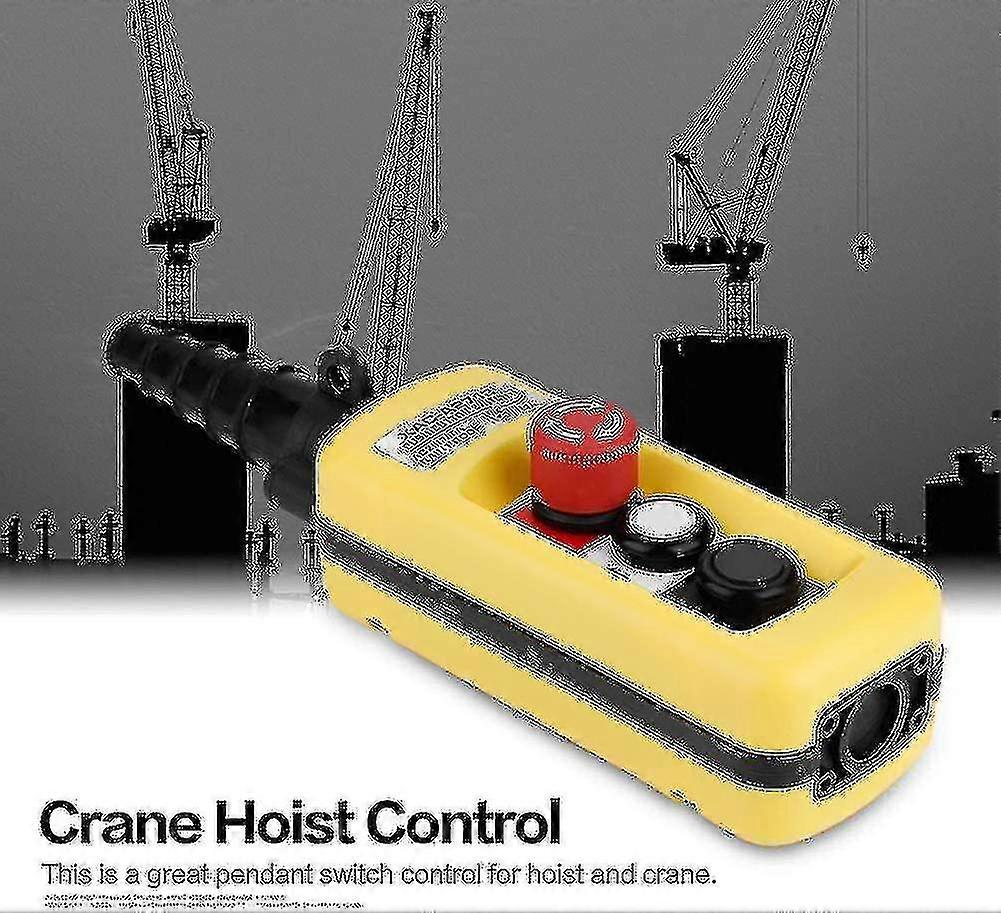 Crane Hoisting Control Switch, Xac-a2713 Suspension Hoisting Controller With Chain Crane Push ...