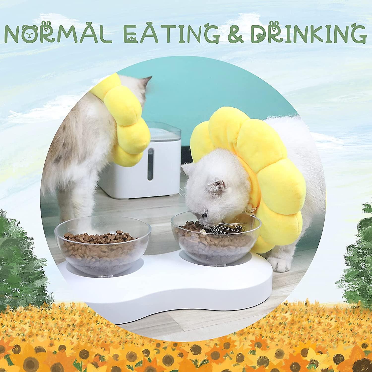 Adjustable Cone For Cats After Surgery,elizabethan Collar Cat Head Cone ...