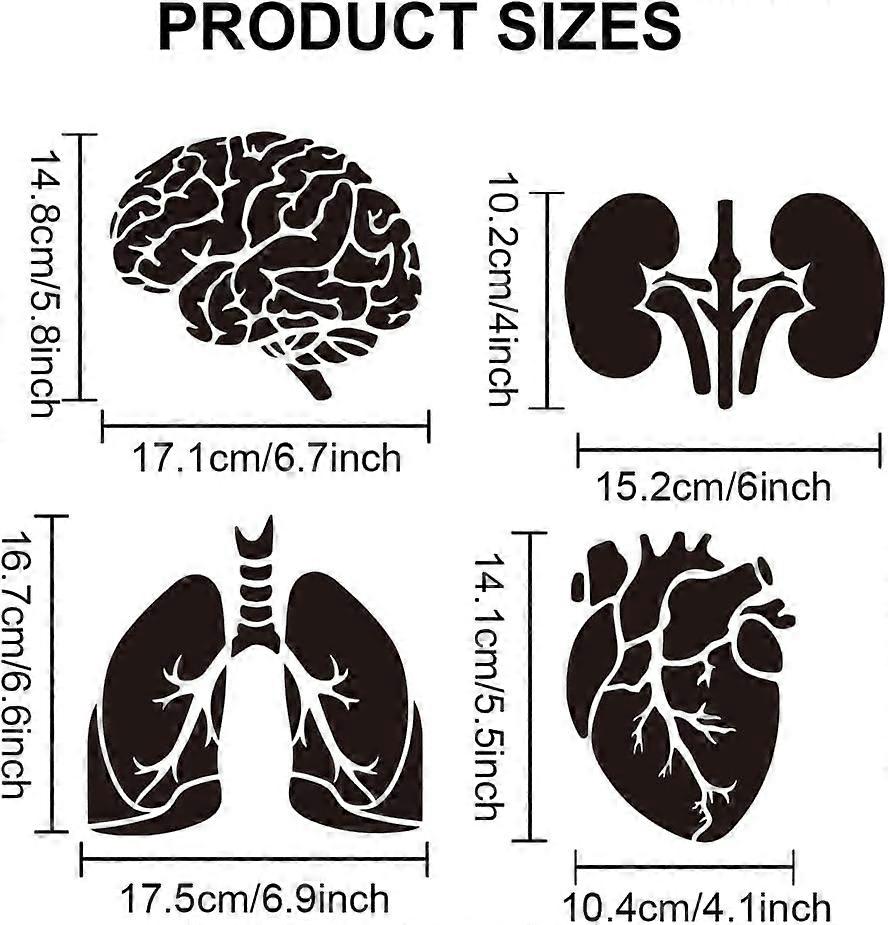 8 Styles Internal Organs Stencil 11.811.8inch Heart Brain Stencils with ...