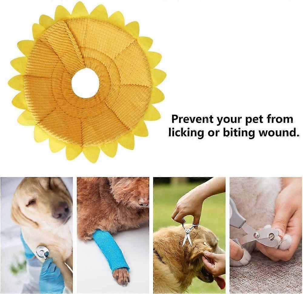 Dog Cat Anti-Bite Collars Adjustable Protection Comfy Cone Recovery ...