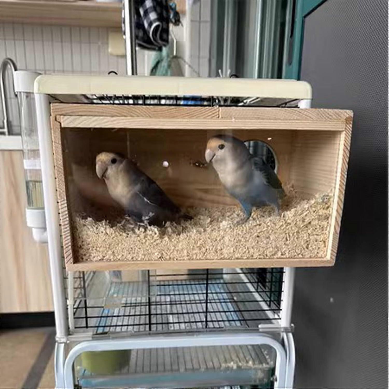 Parakeet Nesting Box, Transparent Parrot Breeding Box with Perch Wood ...