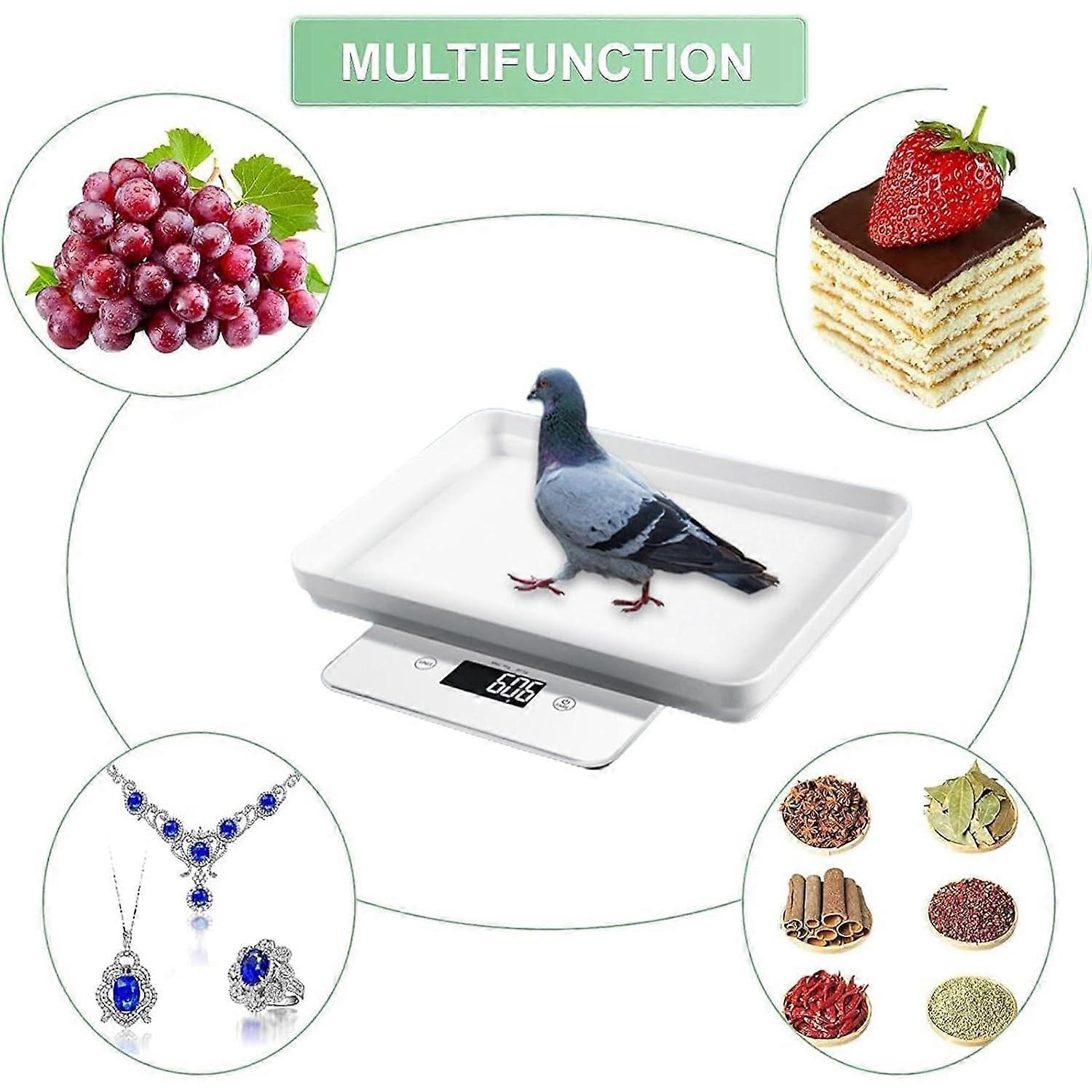 Animal Weight Measurement, Pet Weight Scale, Veterinary Pet Scale ...