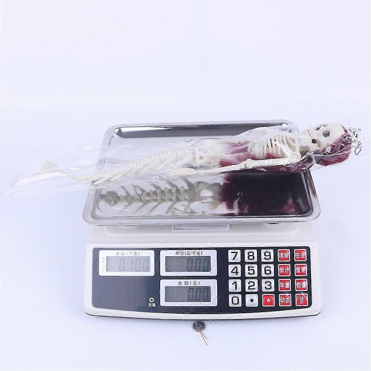 Mermaid Skeleton with Long Hair for Under the Sea Halloween , Hanging ...
