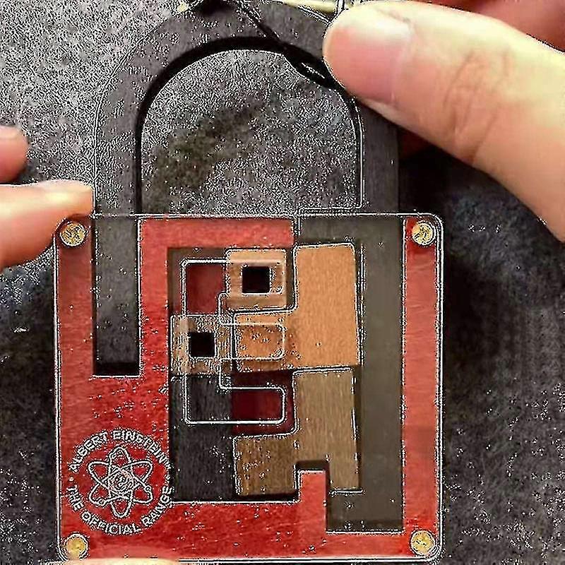 The Einstein Collection Lock Puzzle, Tricky Padlock Brain Game Brain ...