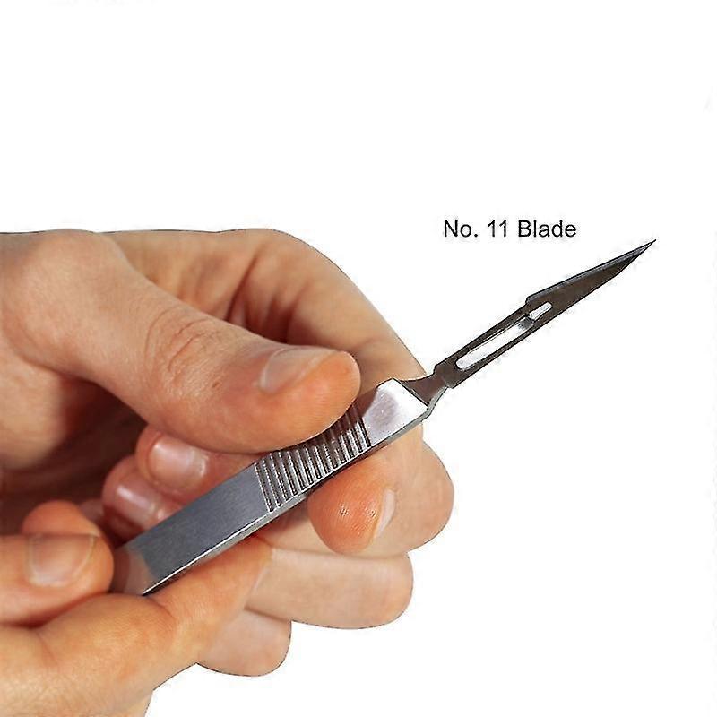 22 pcs advanced dissection kit anatomy anatomy biology student scalpel ...