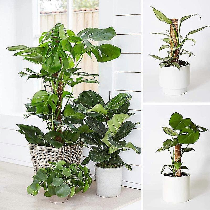 2 Pieces 30cm Climbing Plant Stakes, Coconut Moss Fiber Stems For ...