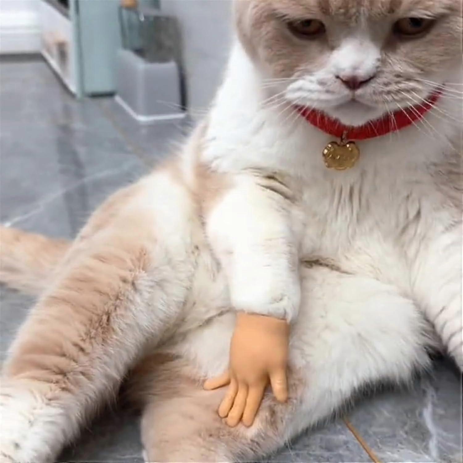 Mini Hands for Cats, Tiny Hands for Cats Crossed, Tiny Folded Hands for ...