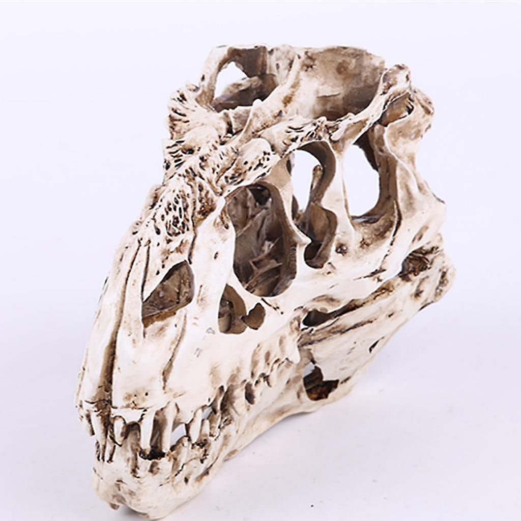 2Pcs Resin Dinosaur Skull Model T-rex And Dilophosaurus Skeleton ...