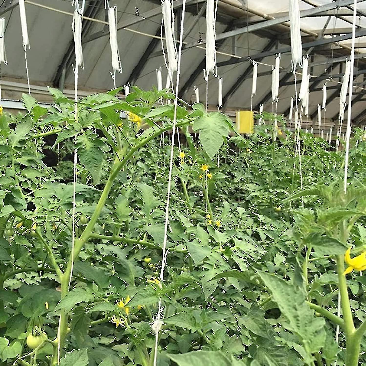 Tomato Rack Hooks, Tomato J Rack, 12 Pieces Tomato Rope Hooks Rack With ...