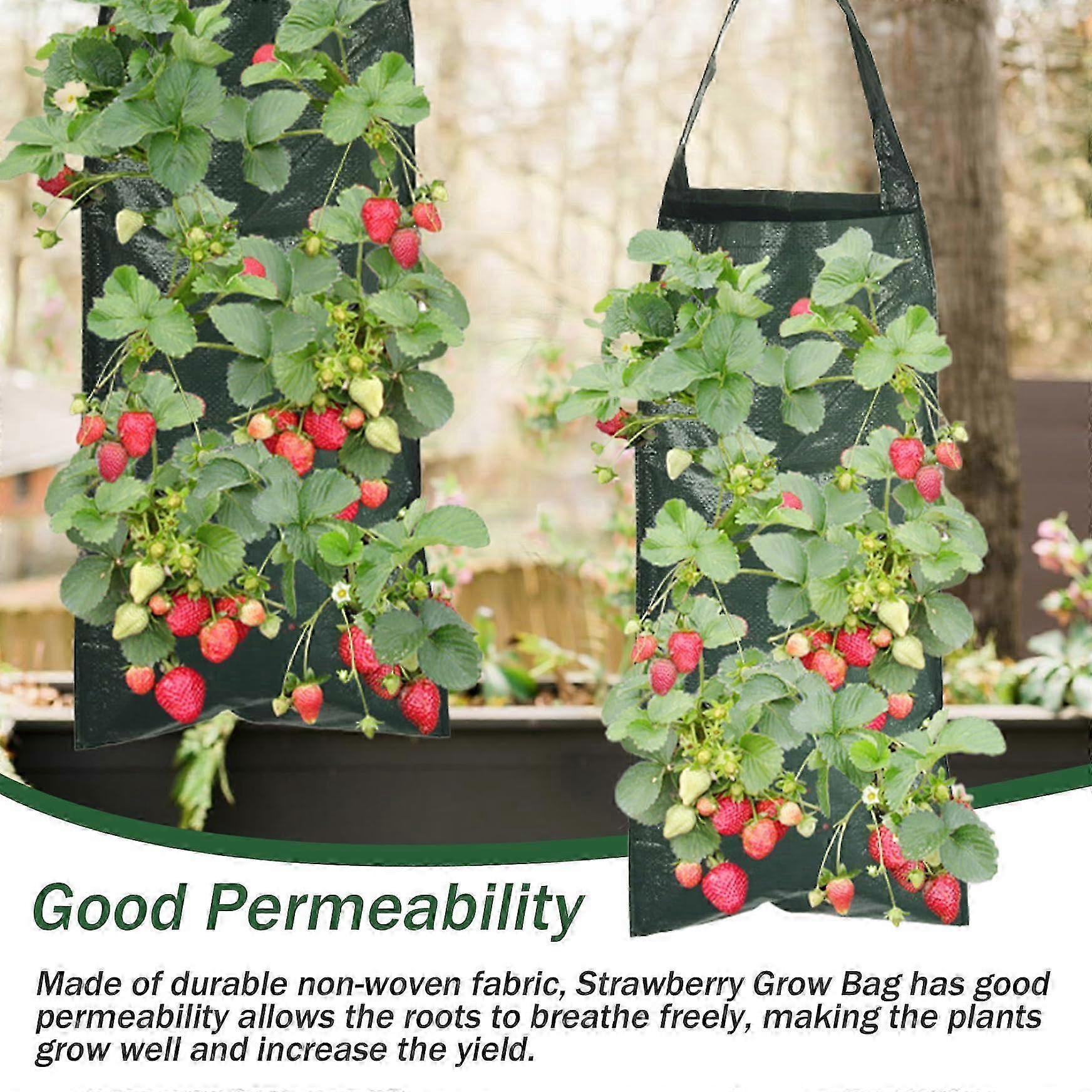 5pcs Hanging Planter Grow Bag, Garden Hanging Planting Bag, Strawberry ...