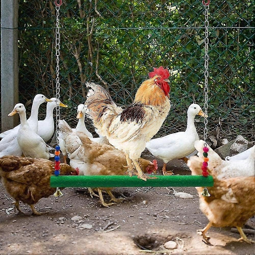 Chicken Swing - Toys For Chickens - Toy For Chickens - Birds, Parrot ...