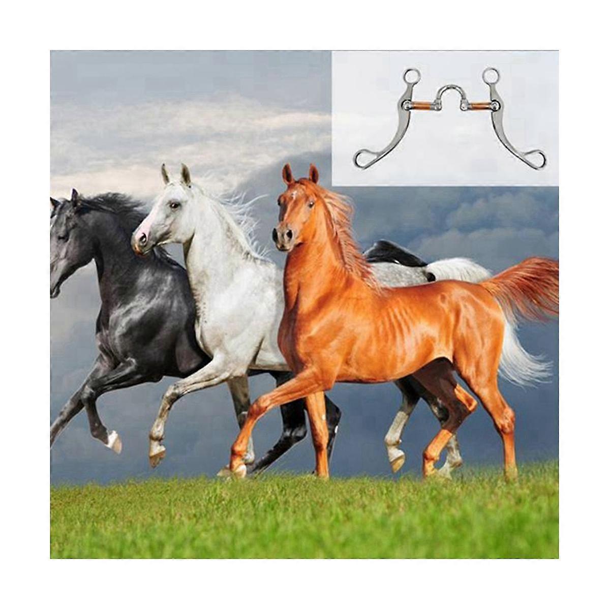 Stainless Steel Snaffle Bit Horse Bits Western Snaffle Bits for Mouth ...