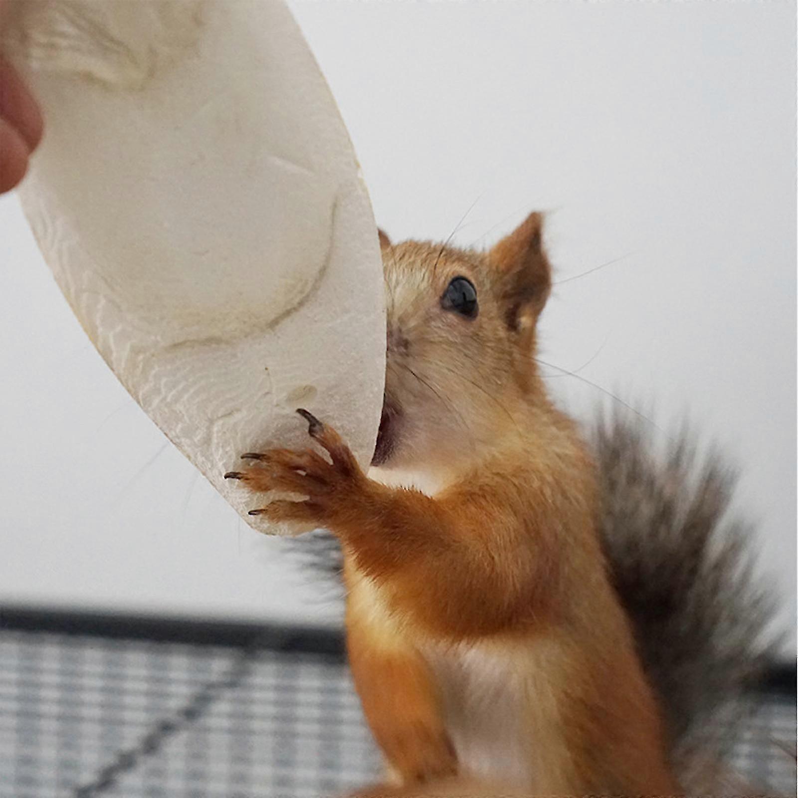 1 bag Cuttlebone Cuttlefish Bone Sepia Cuttle Fish Calcium Pickstone ...
